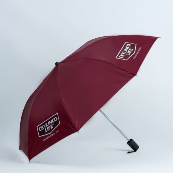 Custom Branded Umbrellas - Giftworks